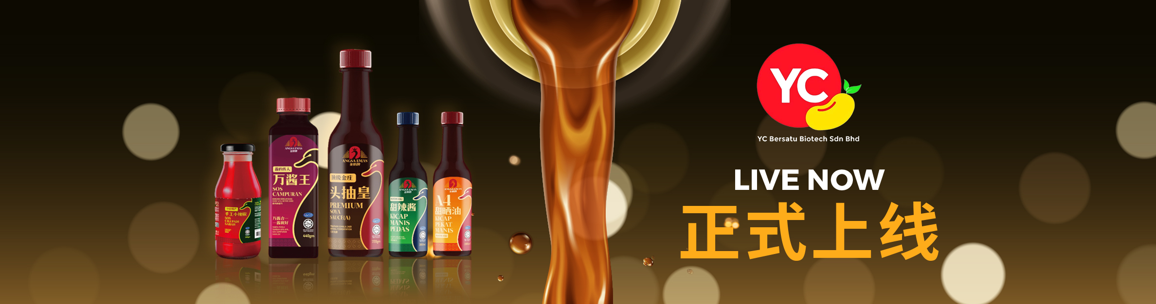 MyStartr: Crowdfunding in Malaysia